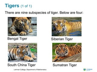 Lesson 9: Linear Relations and Lines | PPTX