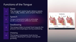 Lesson 9- Tongue, skin NoseLesson 9- Tongue, skin Nose.pptx