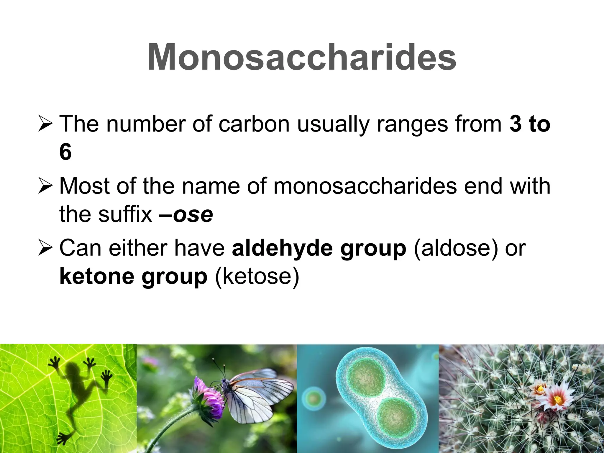 Lesson 9 Carbohydrates | PDF