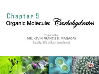 Lesson 9 Carbohydrates | PDF