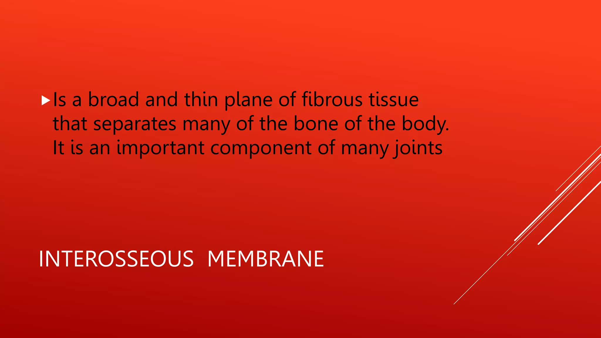 Lesson 9 Elbow Joint Elbow And Forearmpptx