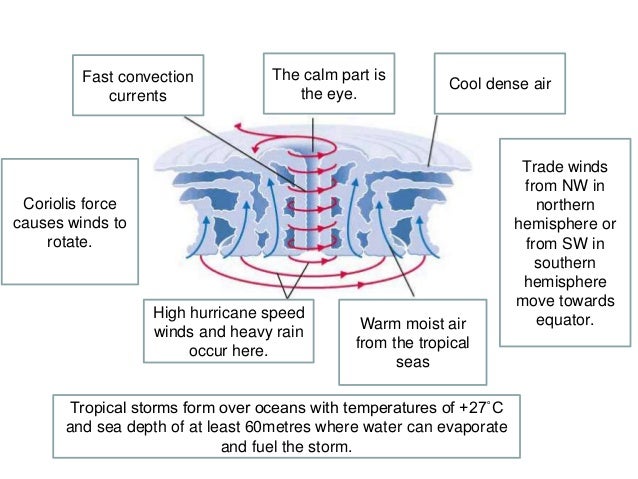 Lesson 9 hurricane case study