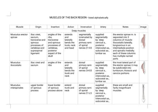 Lesson #9_Muscles of the back and thorax.pdf