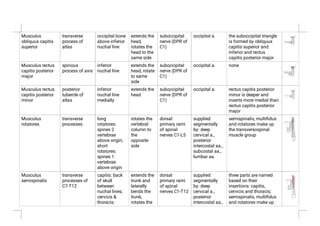 Lesson #9_Muscles of the back and thorax.pdf