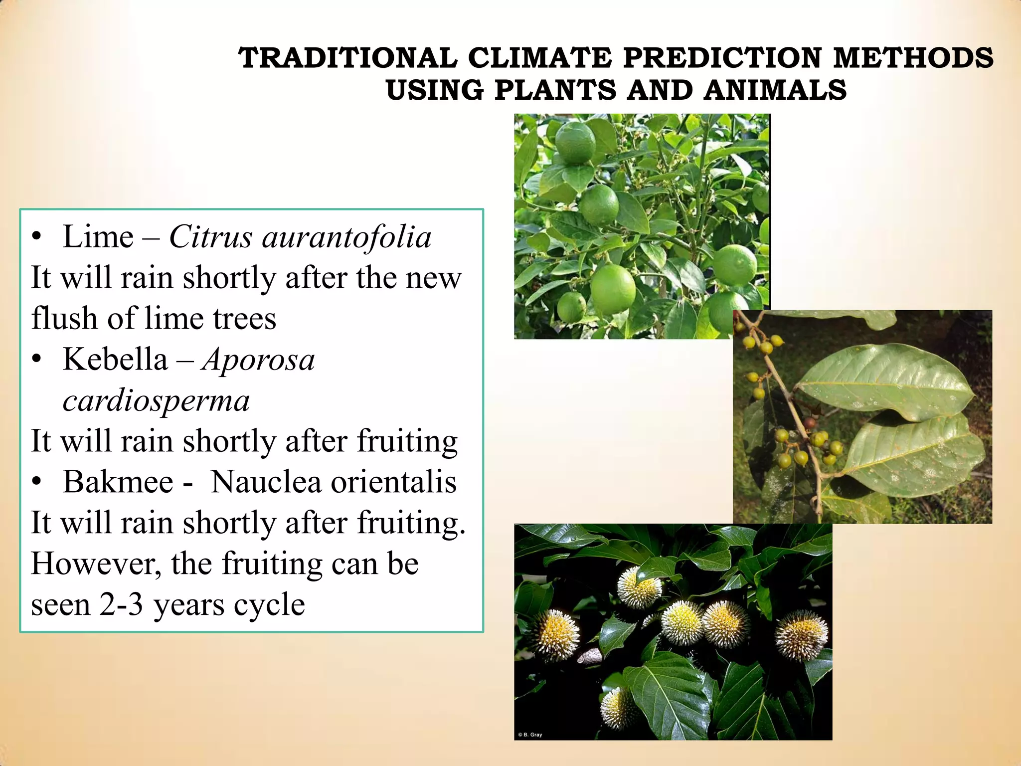 Lesson 9 of Indigenous Knowledge Systems Part 1 | PDF