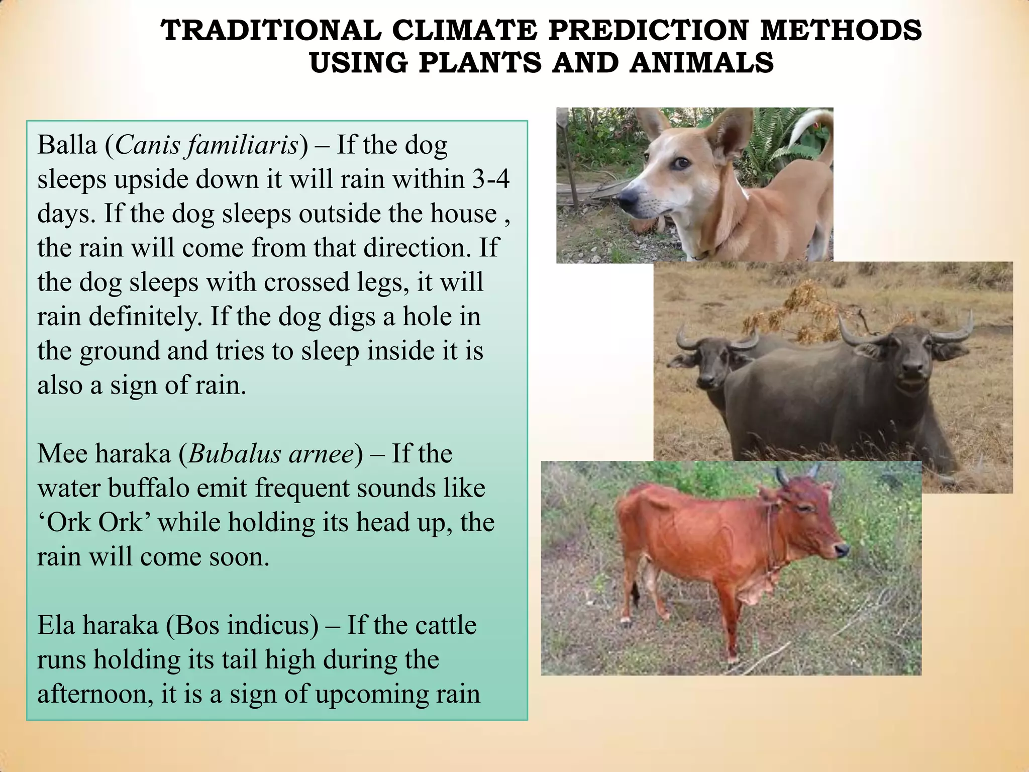 Lesson 9 of Indigenous Knowledge Systems Part 1 | PDF