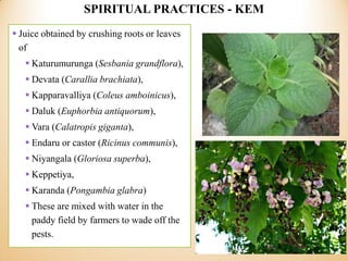 Lesson 9 Part 2- Indigenous Knowledge Systems | PDF