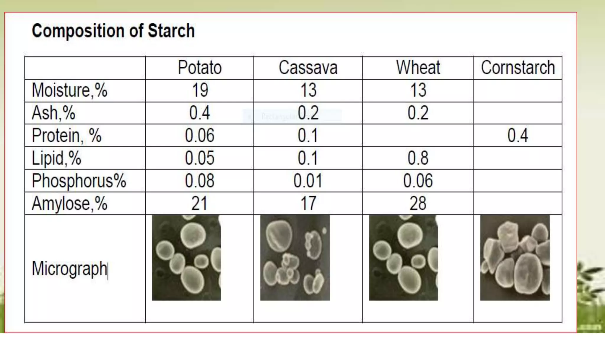 Lesson 9 Starch Cookery | PPTX