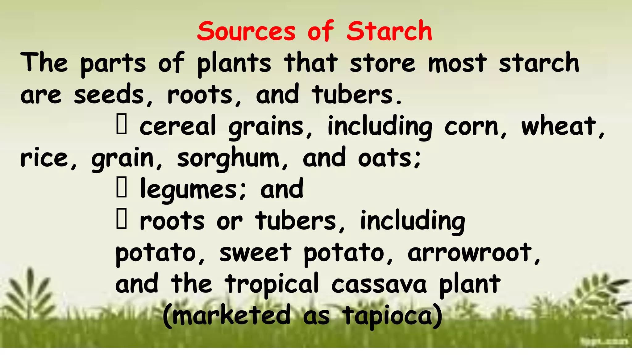 Lesson 9 Starch Cookery | PPTX