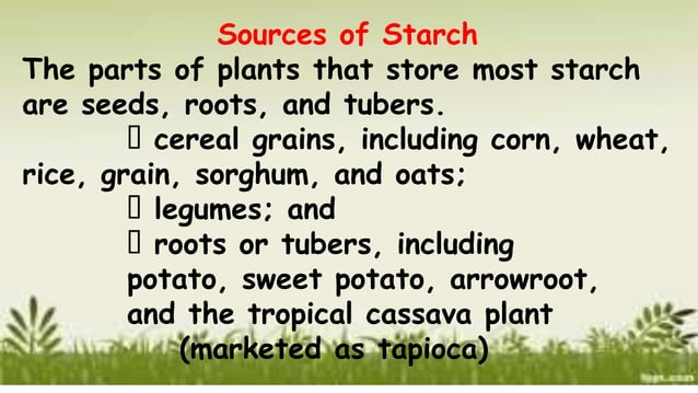 Lesson 9 Starch Cookery | PPTX