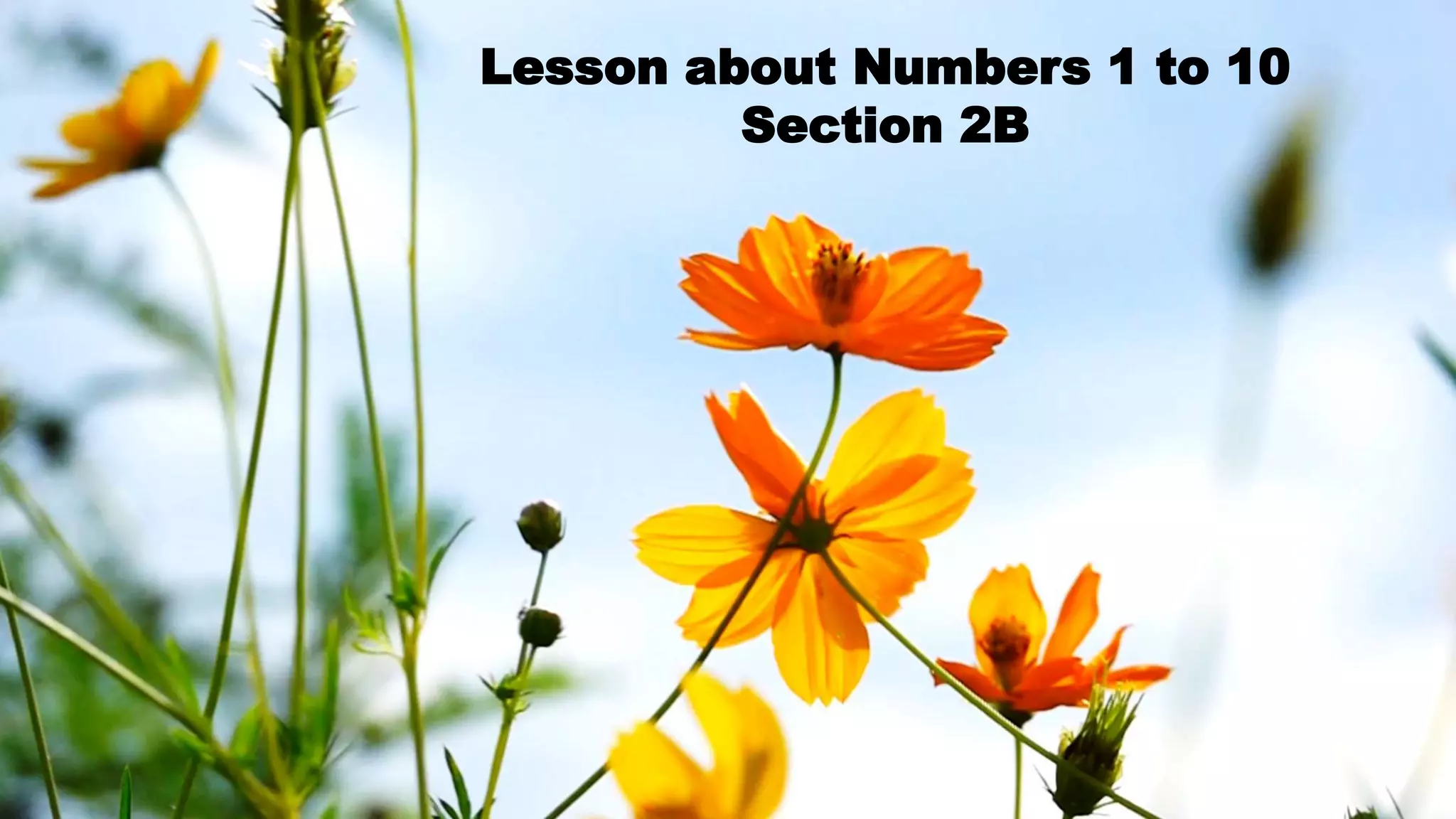 Lesson about numbers 1 to 10 | PPTX