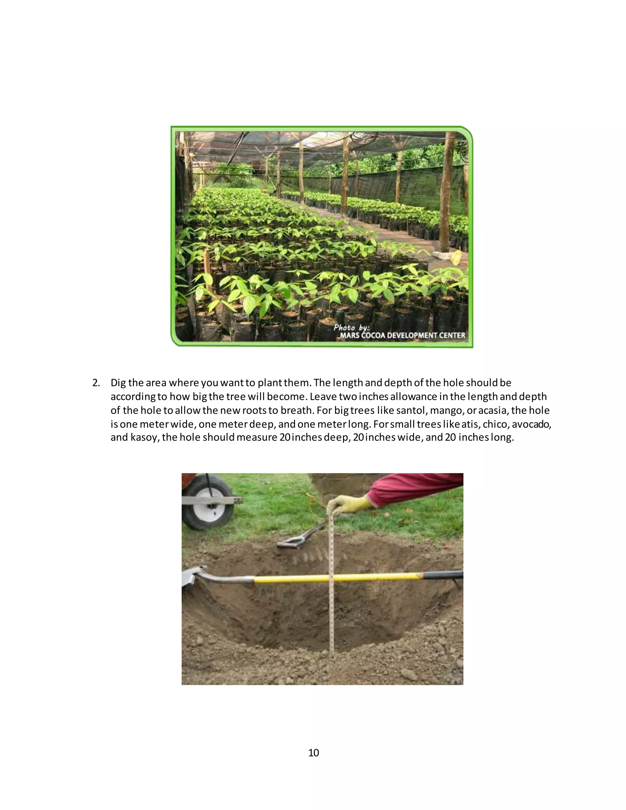 Lesson Exemplar in TLE 6 | DOCX