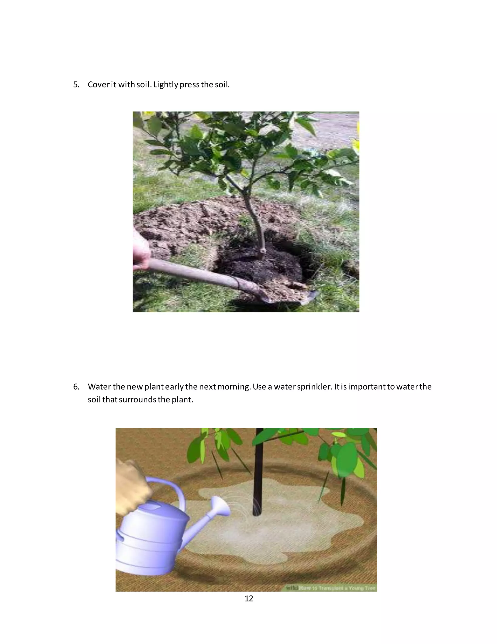 Lesson Exemplar in TLE 6 | DOCX