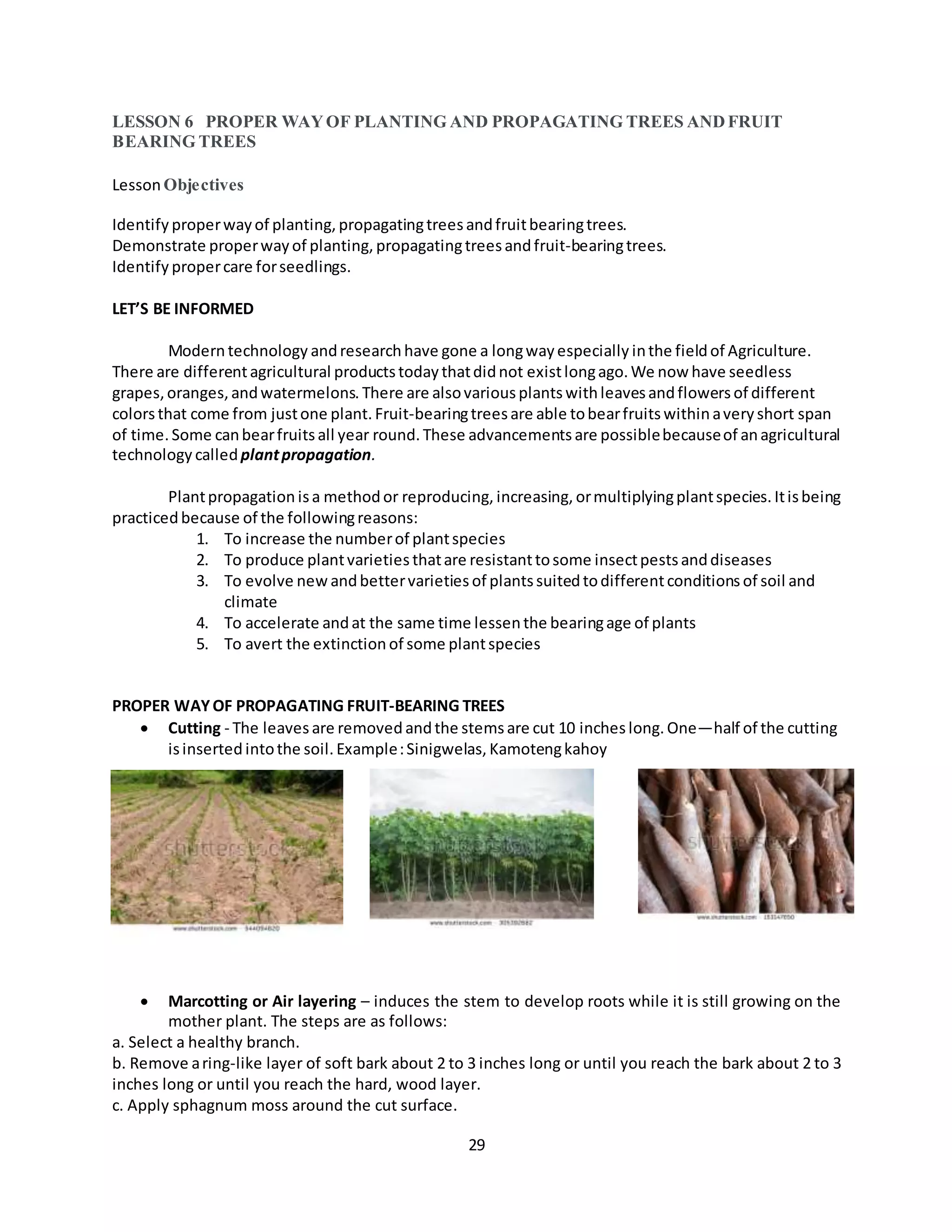 Lesson Exemplar in TLE 6 | DOCX