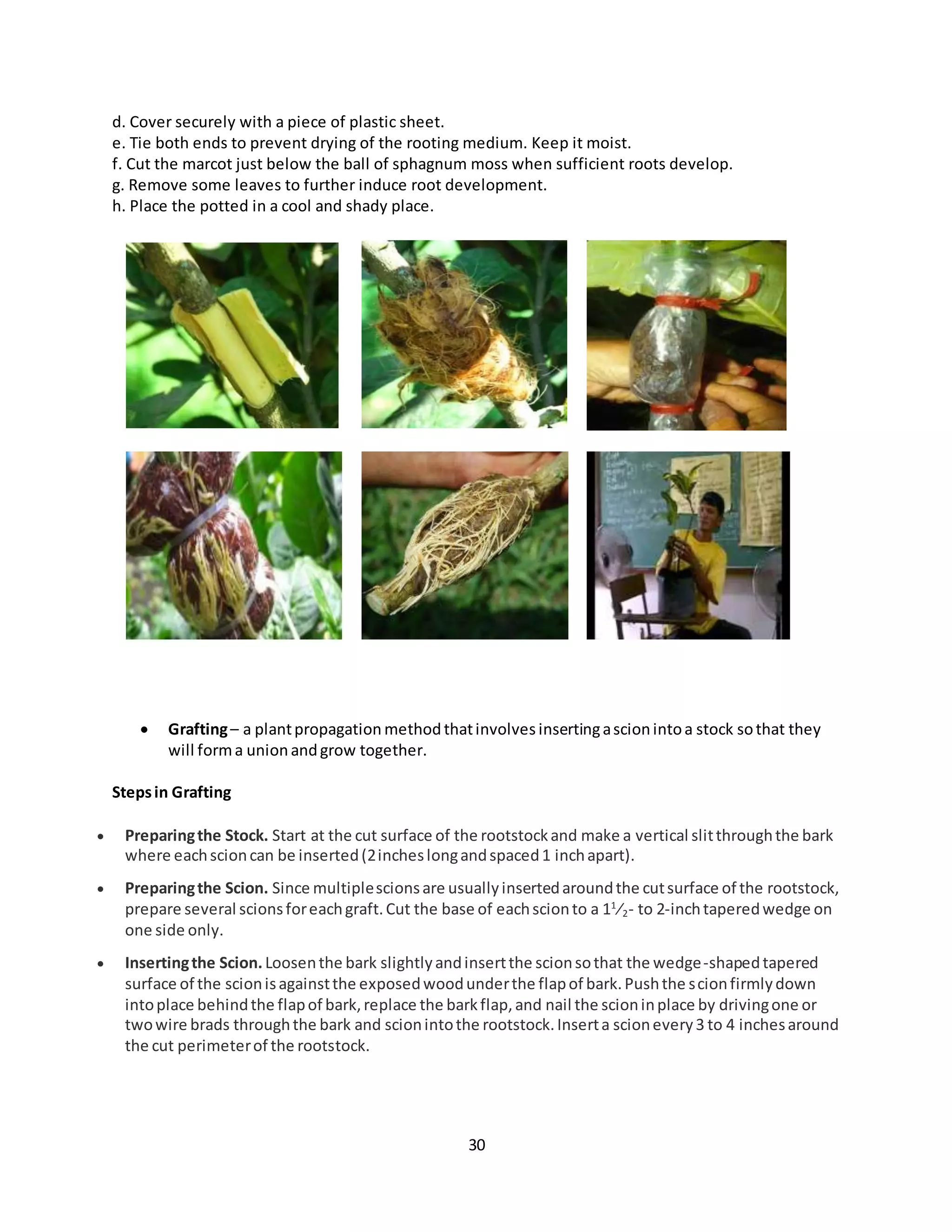 Lesson Exemplar in TLE 6 | DOCX