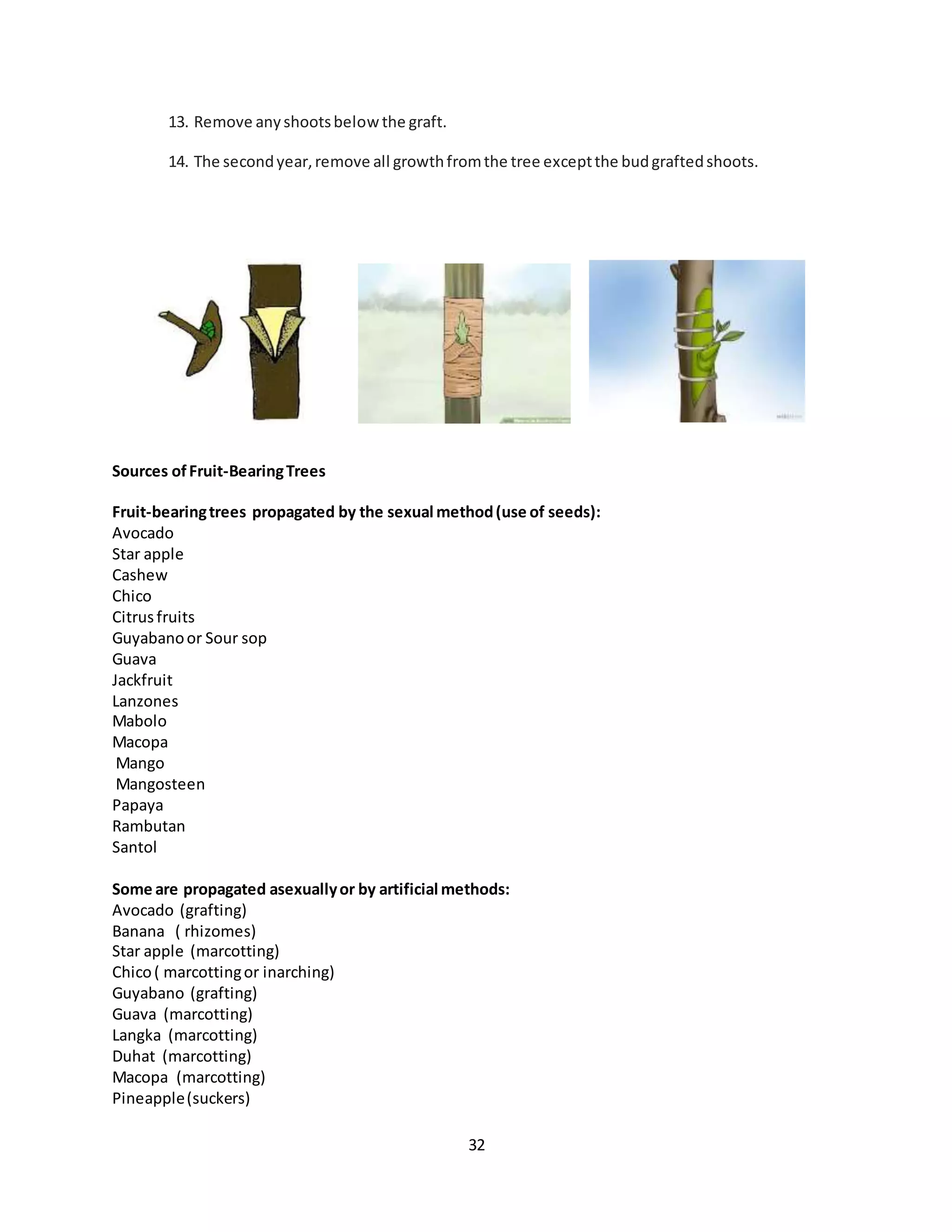 Lesson Exemplar in TLE 6 | DOCX