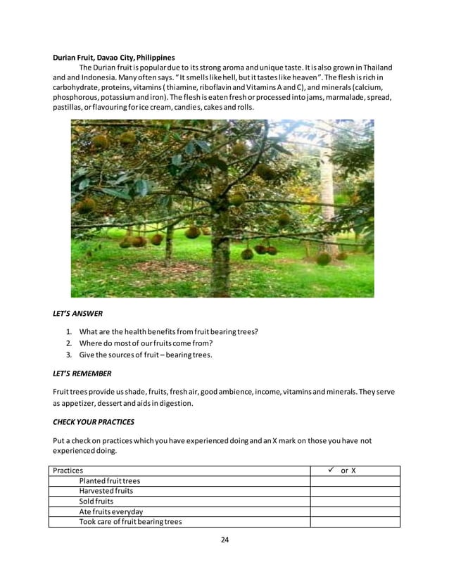 Lesson Exemplar in TLE 6 | DOCX