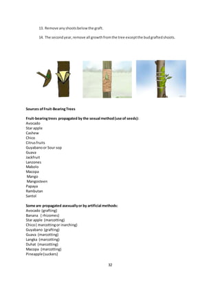 Lesson Exemplar in TLE 6 | DOCX