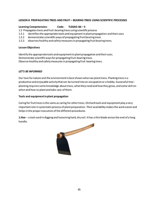 Lesson Exemplar in TLE 6 | DOCX