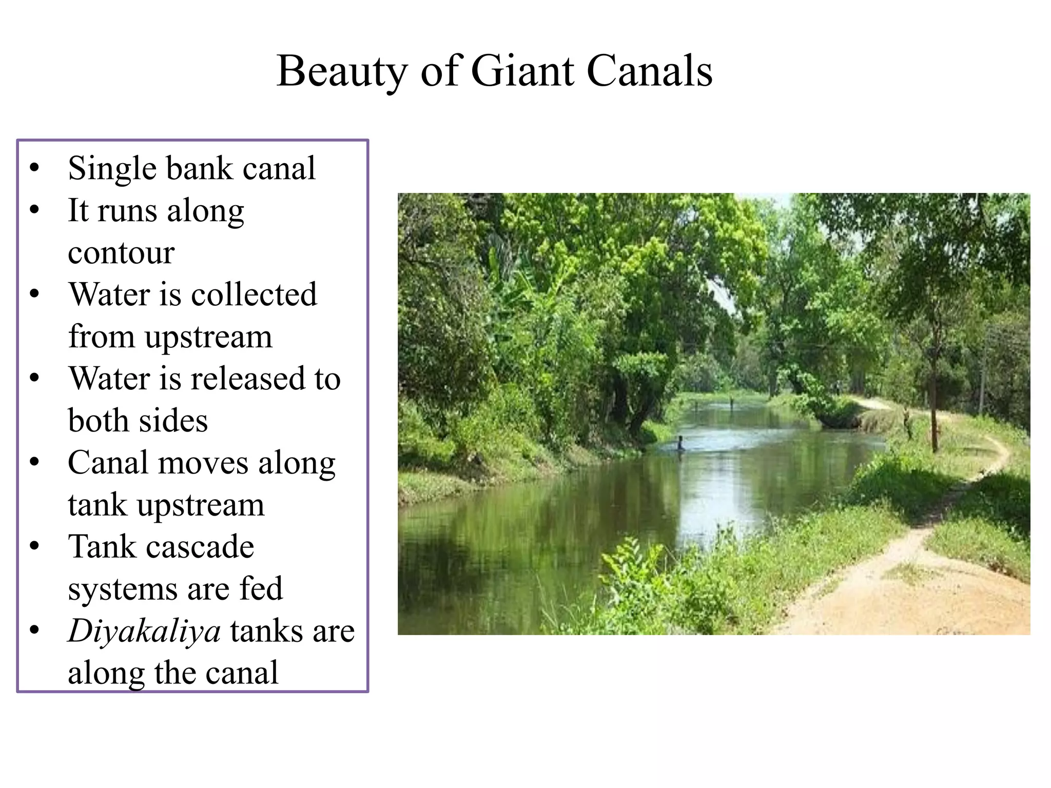 Lesson Four - Indigenous Village Irrigation Systems, traditional small ...