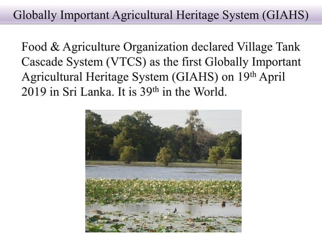 Lesson Four - Indigenous Village Irrigation Systems, traditional small ...