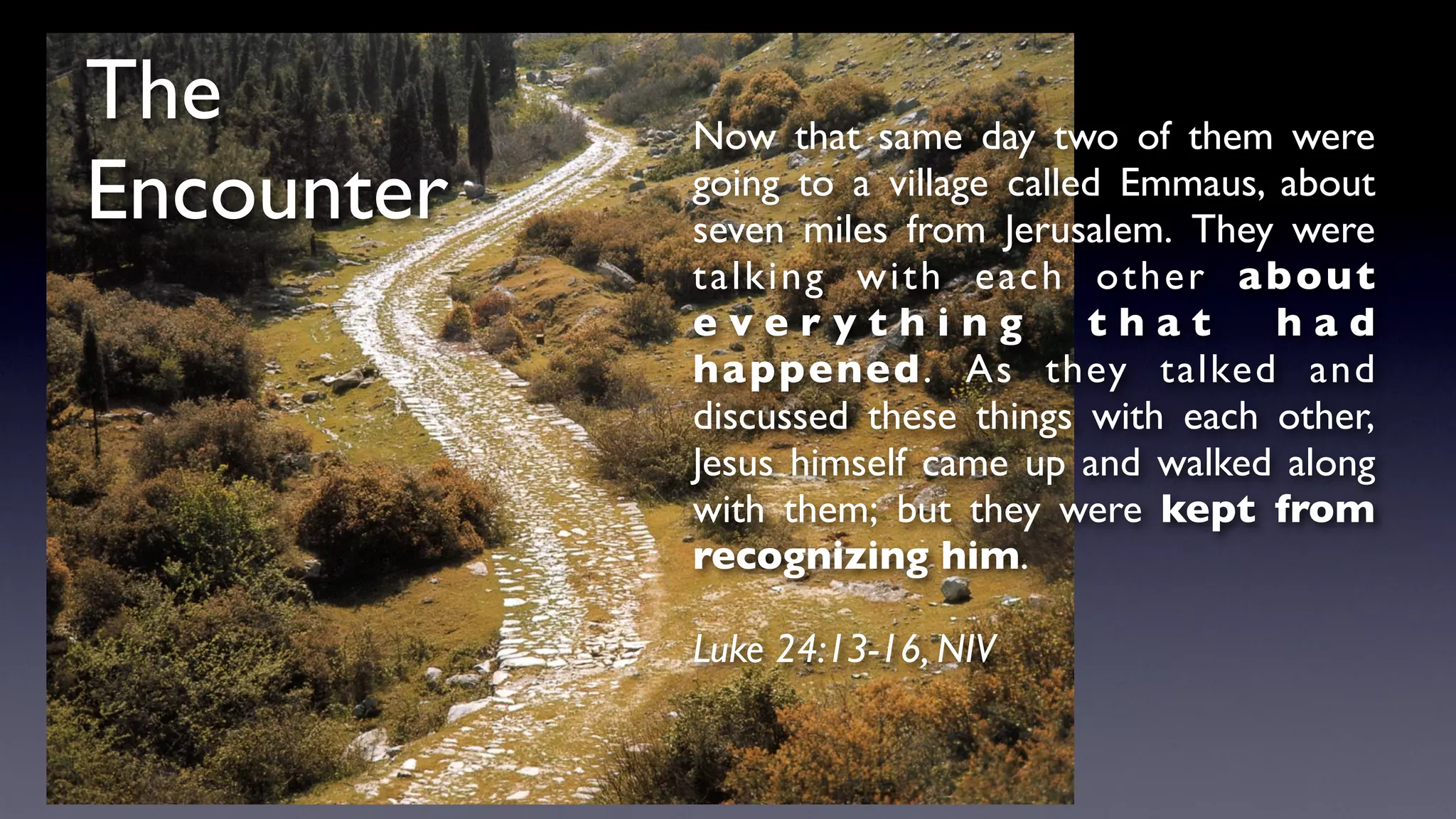 Lesson from emmaus road | PDF