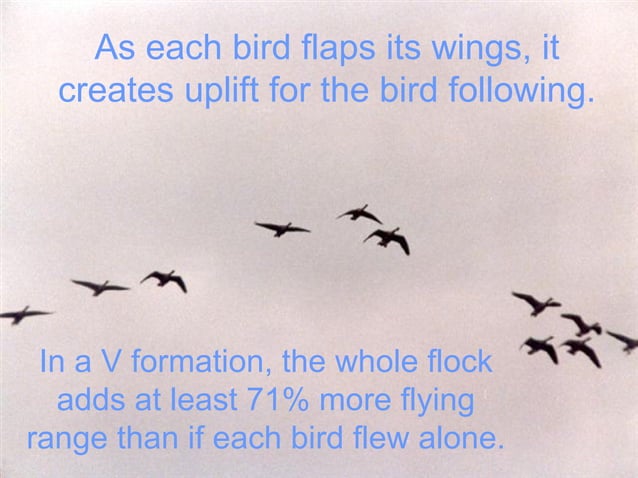Lesson From Geese | PPT