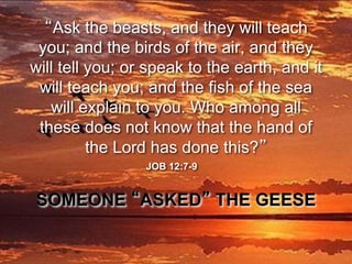 Lesson from geese (2) | PPT