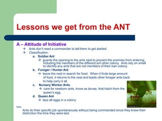 LESSON_FROM_THE_ANT.ppt