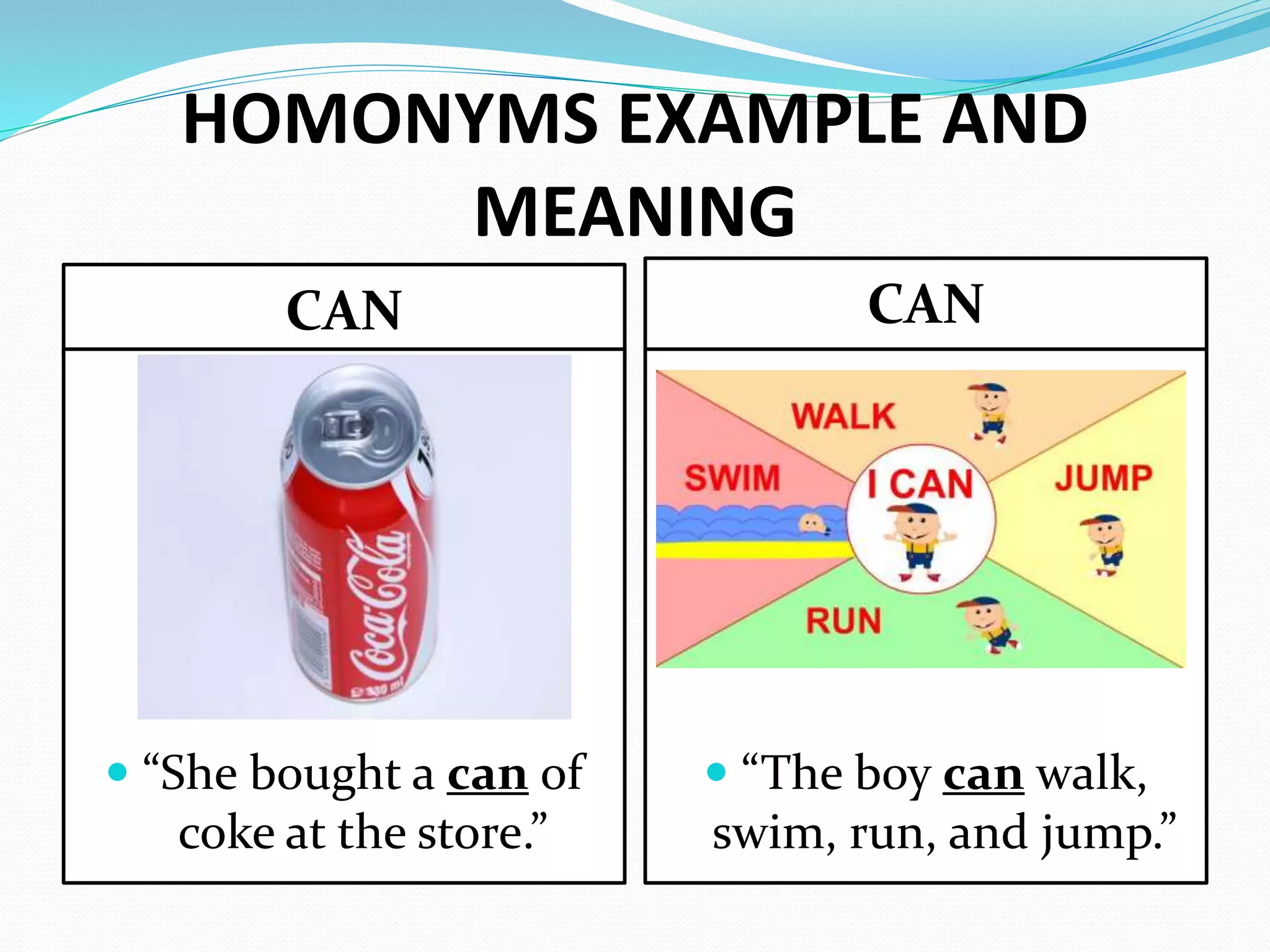 Homonyms | PPTX