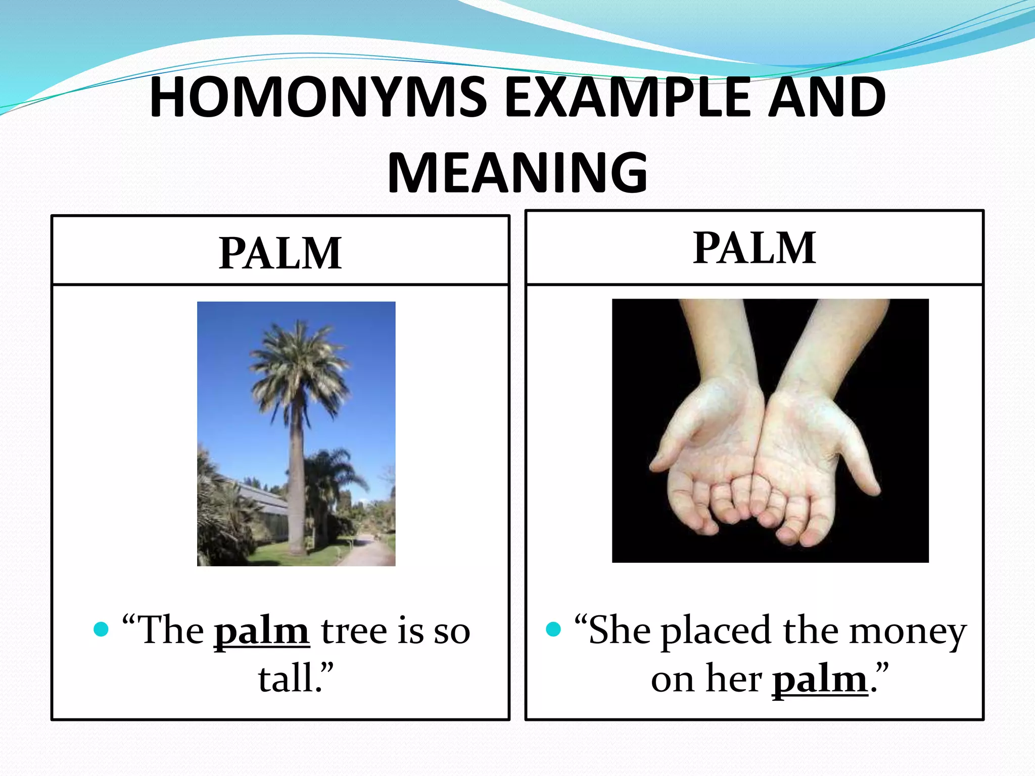 Homonyms | PPTX