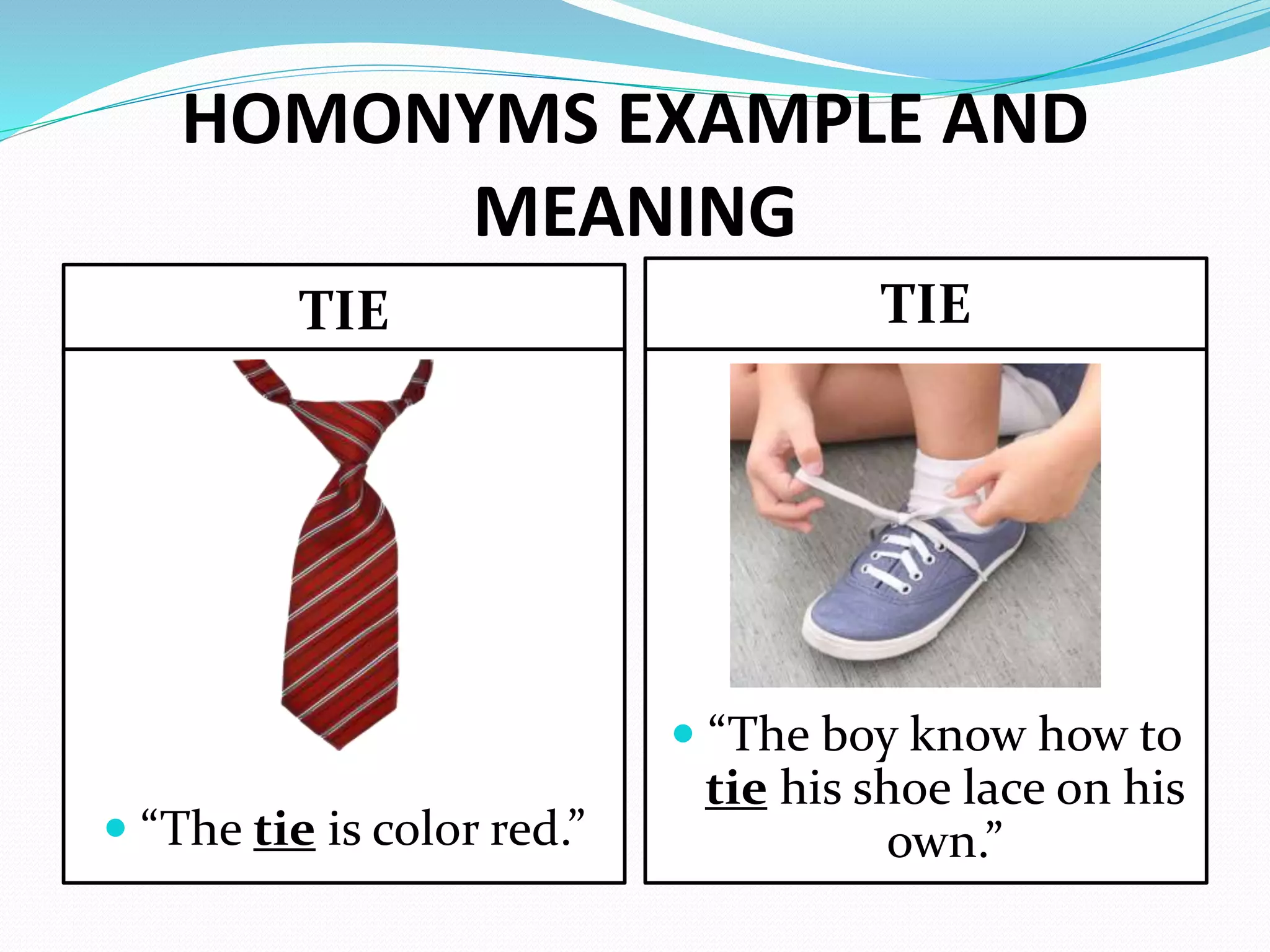 Homonyms | PPT