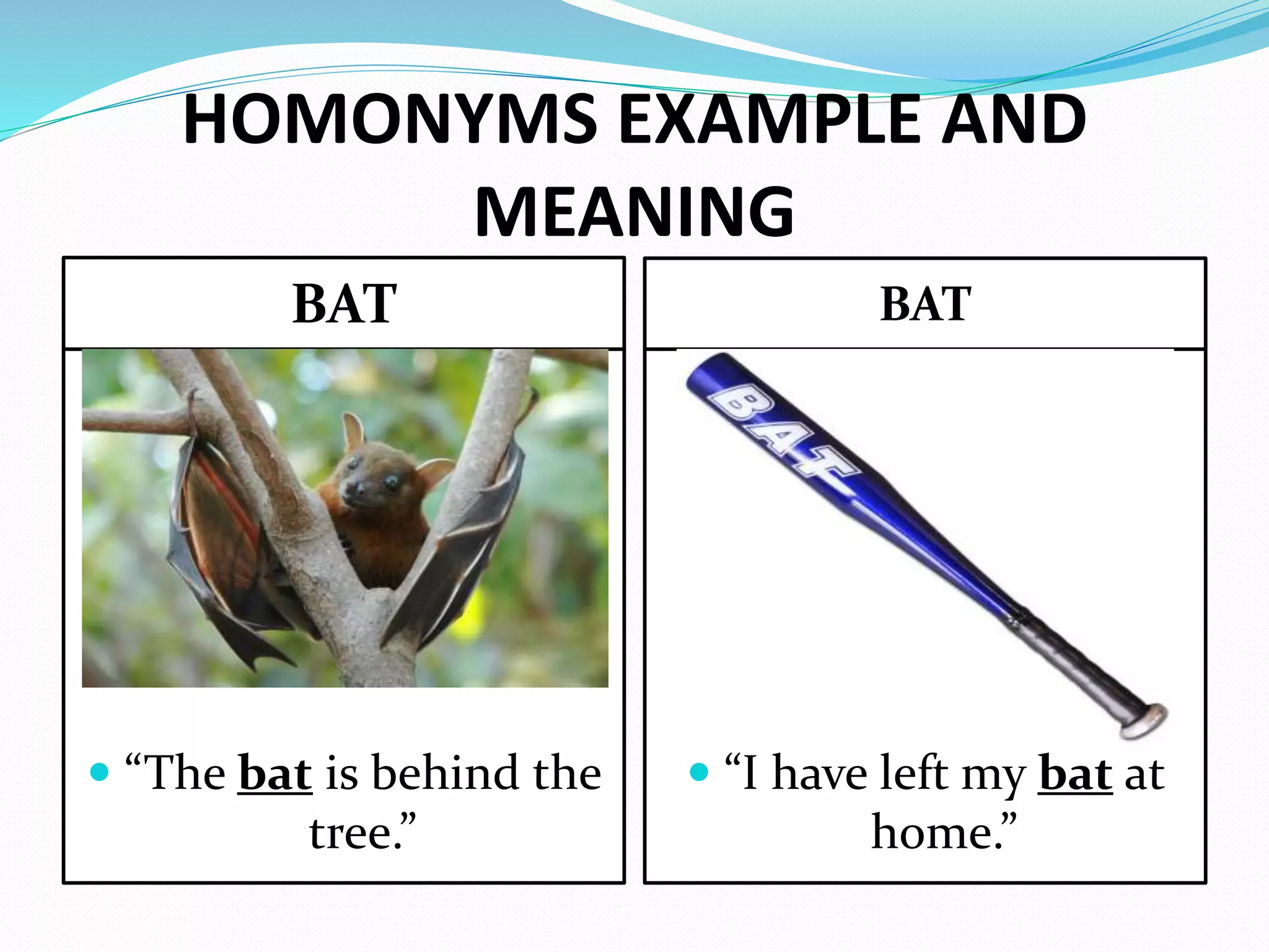 Homonyms | PPT