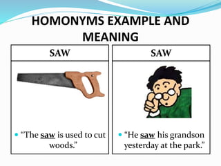 Homonyms | PPTX