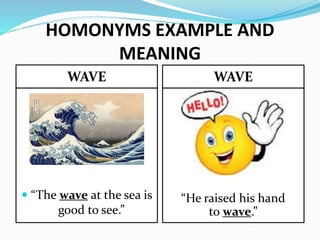 Homonyms | PPTX