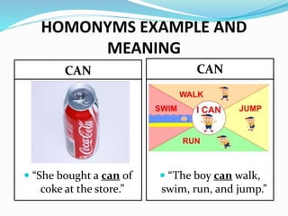 Homonyms | PPT