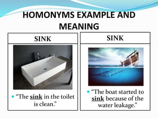Homonyms | PPTX