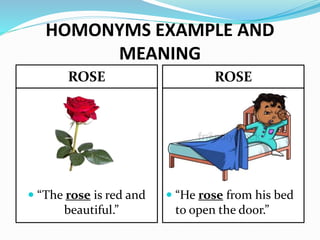 Homonyms | PPTX