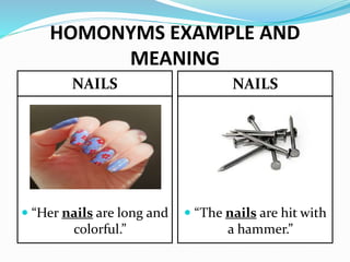 Homonyms | PPTX