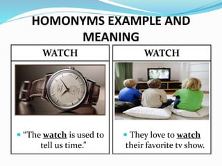 Homonyms | PPT