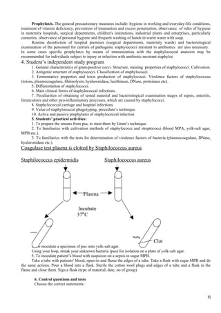 Bohomolets Microbiology Lesson #1 | DOC