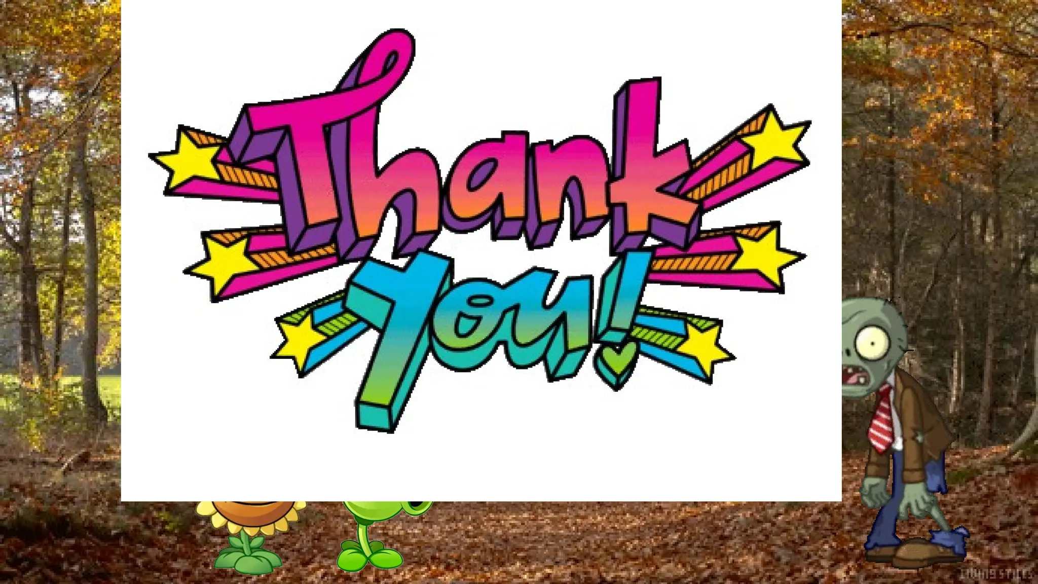 LESSON NO. 8 Biological Productivity and Energy Flow.pptx