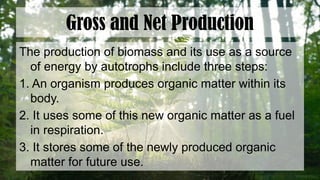 LESSON NO. 8 Biological Productivity and Energy Flow.pptx