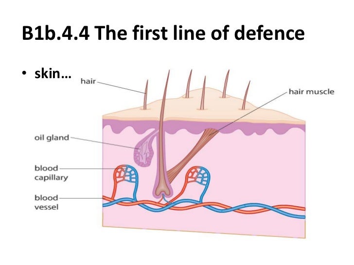 B1.b.4 Use, misuse and abuse