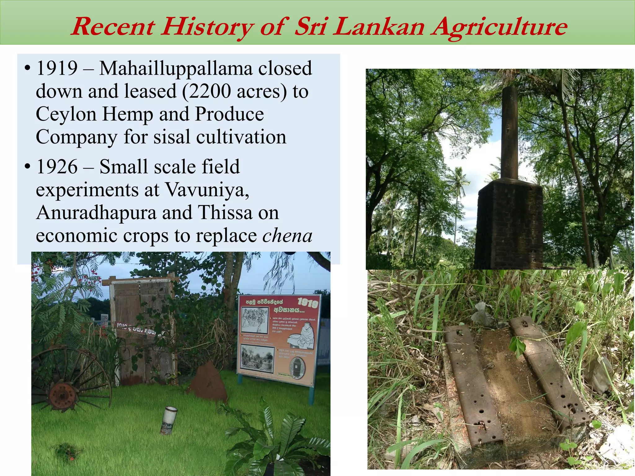 Indigenous Knowledge in Agriculture in Sri Lanka | PDF