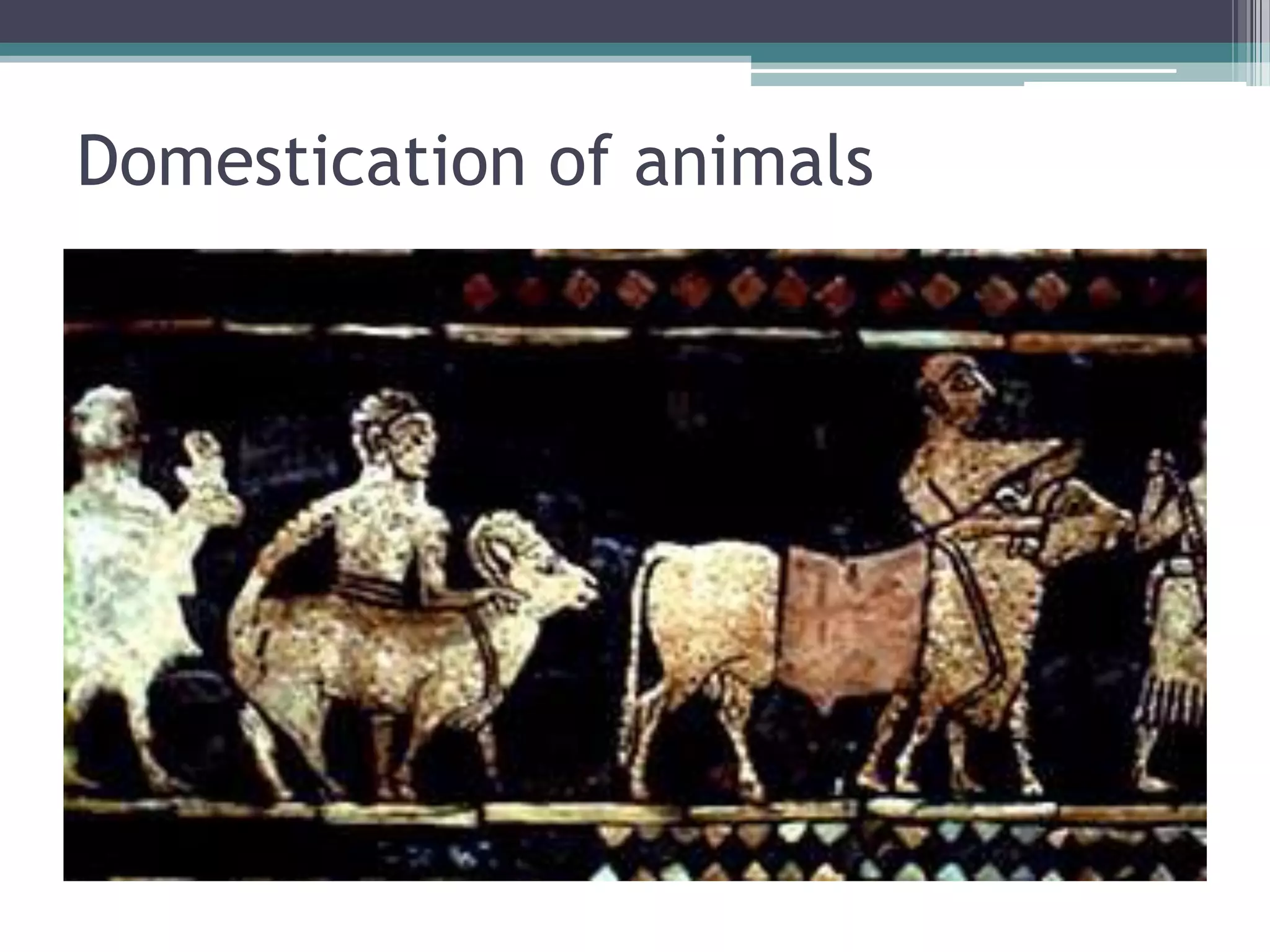 Lesson one beginnings | PPTX