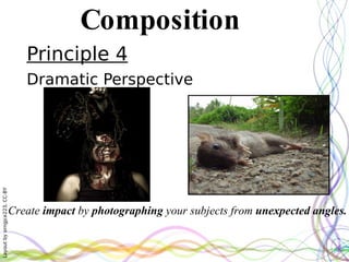 Lesson One Know your camera | ODP | Photography | Arts and Crafts