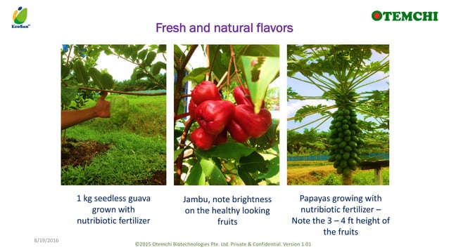 Lesson on fertilizers | PPT