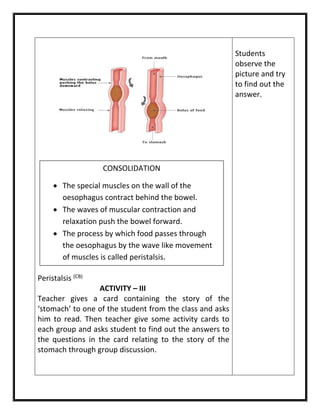 MOVEMENT OF FOOD THROUGH OESOPHAGUS AND DIGESTION IN STOMACH | DOCX