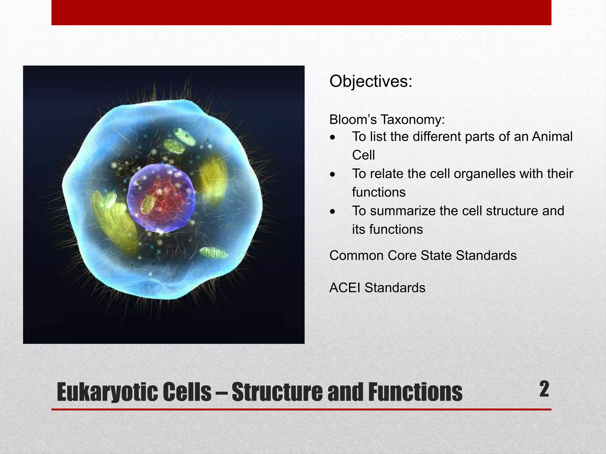 Eukaryotic Cells -Brief Online Lesson Plan | PPTX | Biological Sciences ...